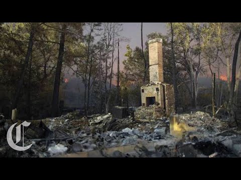 Firebug: How to Catch a Suspected Arsonist