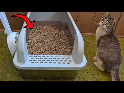 This Stainless Steel Sifting Cat Litter Box Is So Nice!