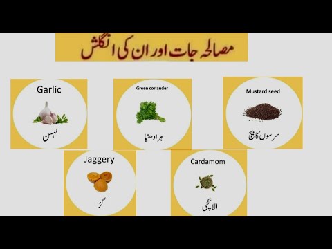 Spicies English Vocabulary Words With Urdu Meaning |English Skills