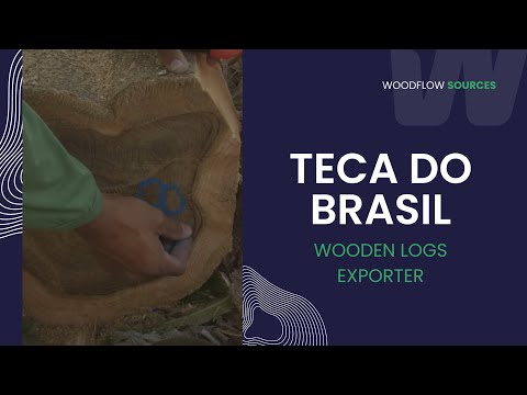 Exploring Teca do Brasil: Leading Wooden Log Exporter