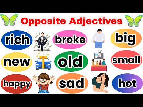 Learn 100 Opposite Adjectives in English with Simple Sentences | English for Beginners