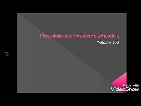 La physiologie des récepteurs sensoriels