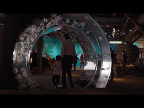Microsoft Mission Video 2023