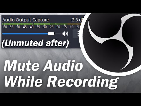 How to Mute Game Audio While Recording In OBS (Read Description)