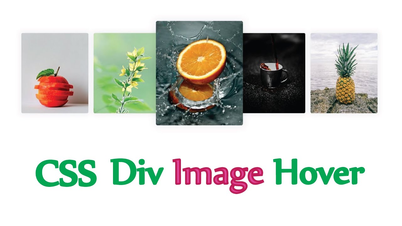 Div Box Image Hover | Html, Css image card hover effect