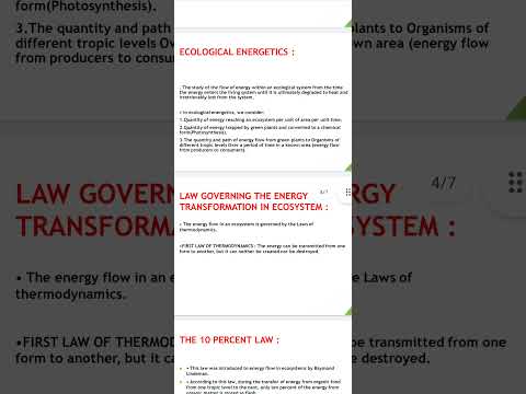 ENERGY FLOW IN ECOSYSTEM PDF