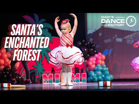 🎄Santa's Enchanted Forest - Welcome to Miami 2024