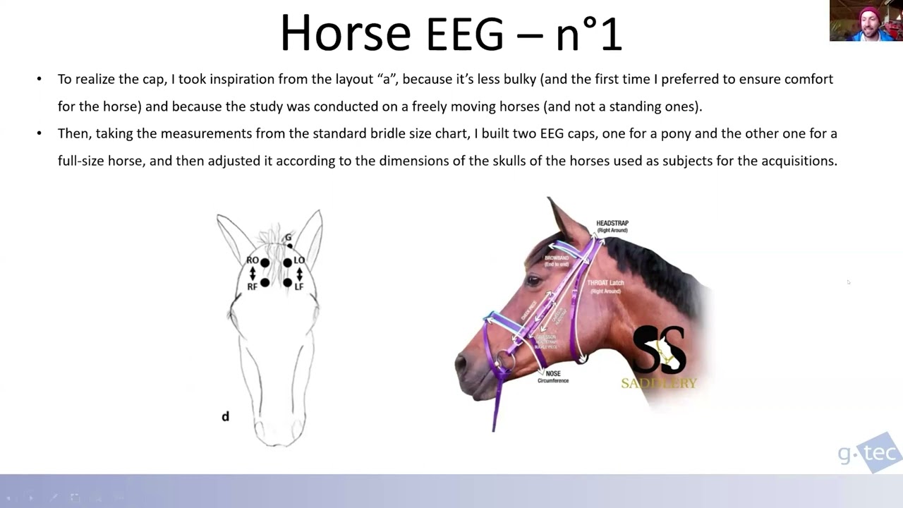 Unicorn Hybrid Black: 7 Key Benefits for Unlocking Your Extraordinary ...