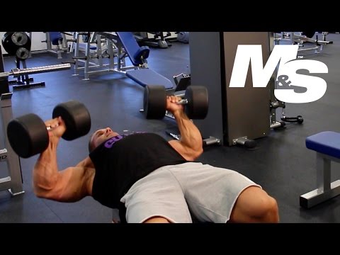 [PETTO] Dumbbell Bench Press (Jay Cutler) | Muscle Library