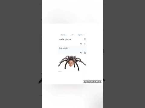 WHAT BIG SPIDER TRANSLATES IN SPANISH  🤣 #funny #shorts