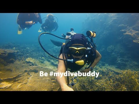 Be #mydivebuddy