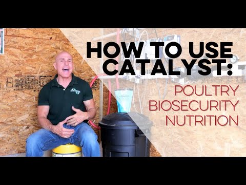 HOW TO USE CATALYST: POULTRY BIOSECURITY NUTRITION
