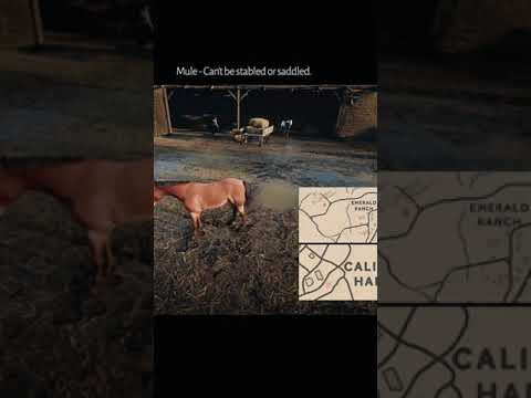Steam Community :: Video :: RDR2 • All Mule Locations • Red Dead ...
