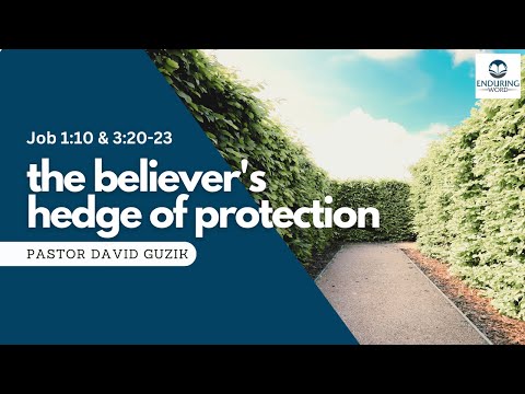 The Believer's Hedge of Protection — Job 1:10 & 3:20-23