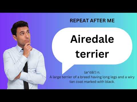 How to SAY and USE 'AIREDALE TERRIER'