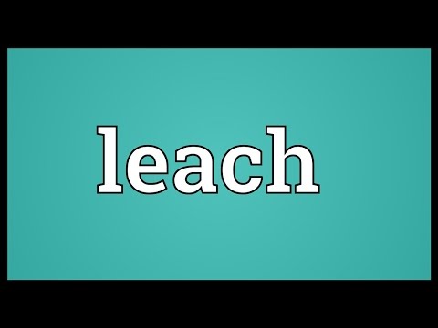 Leach Meaning