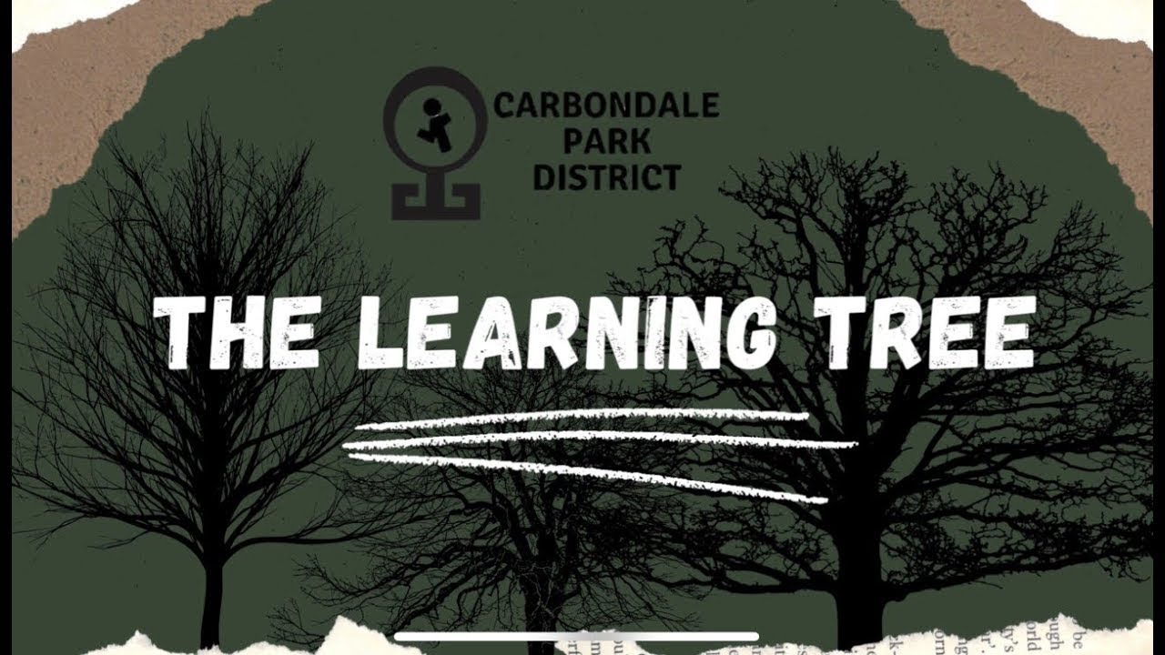 Carbondale Public Library