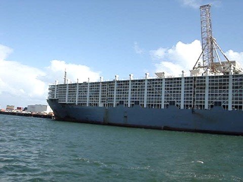 THE MAYSORA | The Kebun