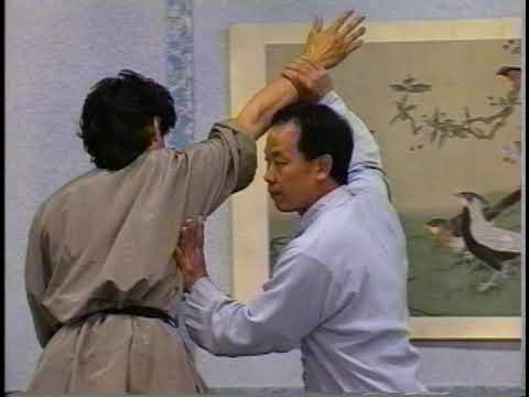 VTC 07 Tai Chi Sun Style Tai Chi Chuan Applications Preview www.WLE.com