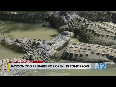 Jackson Zoo to reopen on Saturday