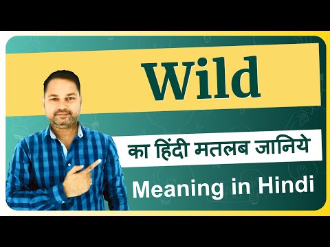 Wild meaning in Hindi | Wild ka matlab kya hota hai | Wild meaning explained and arth