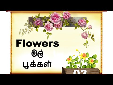 Flowers Name - English - Sinhala - Tamil - Unit 03