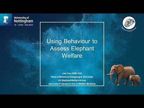 [Lisa Yon] Using Behaviour to Assess Elephant Welfare