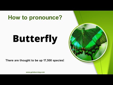 How to pronounce Butterfly in English Correctly