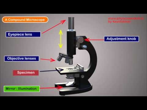 Optical Instruments at Best Price in India