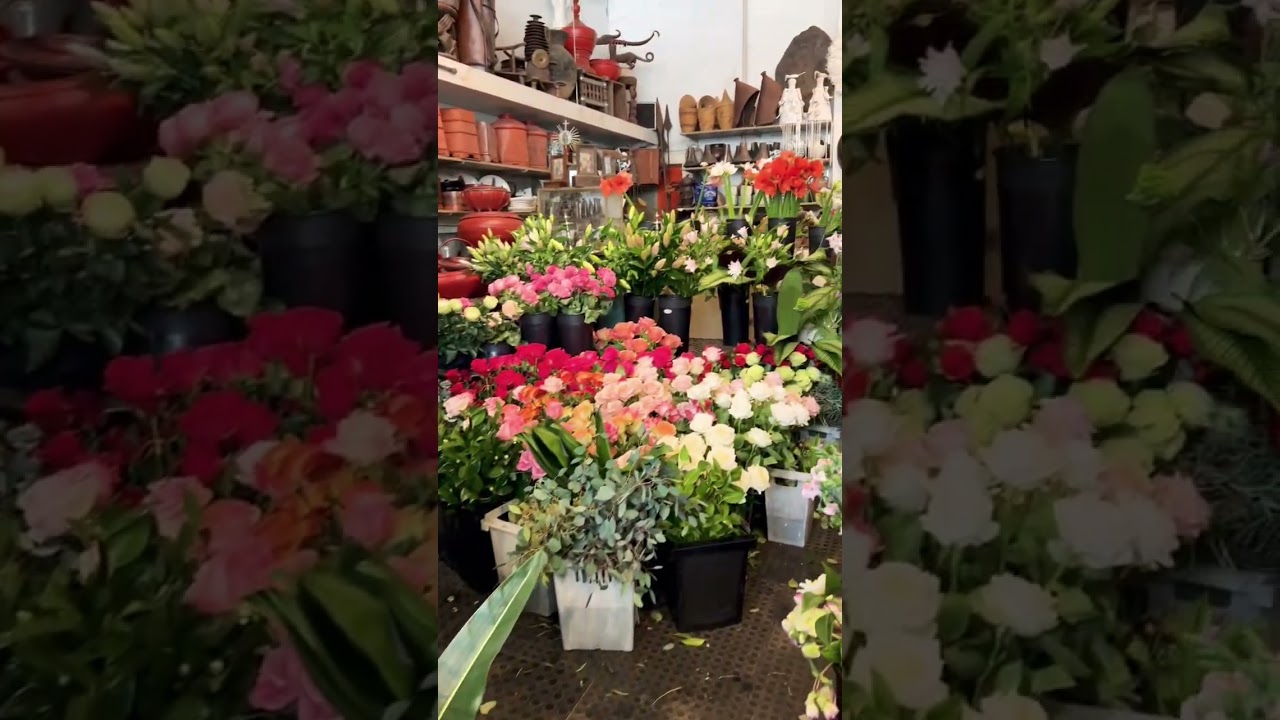 Toko bunga ini adalah hal paling berwarna yang Anda lihat hari ini…