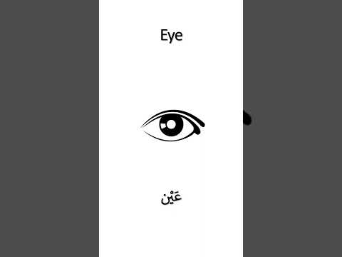 Word pairs in Arabic: eye and kohl.
