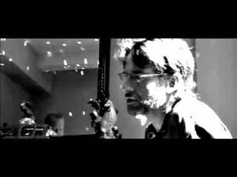 Barbara Ireland Wiki