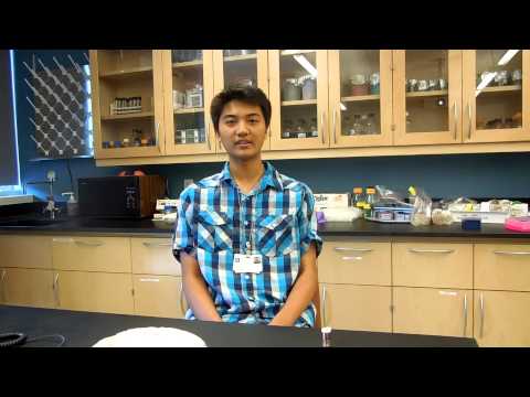 Through their lens: Steven Wang learns about stem cells at the heart of ...