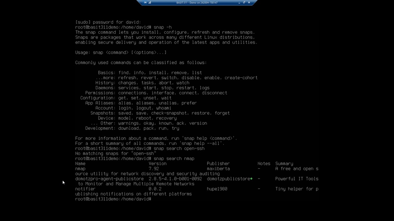 Package management using 'snap'
