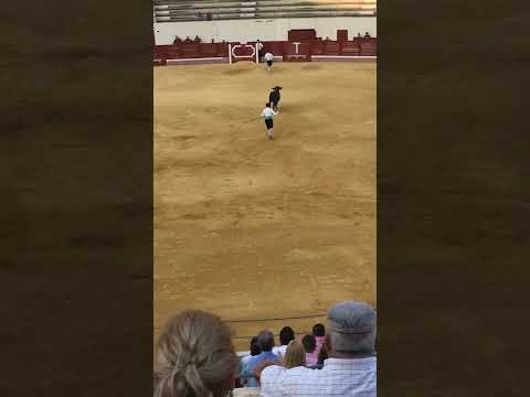 Bullfighting! Spain 🇪🇸