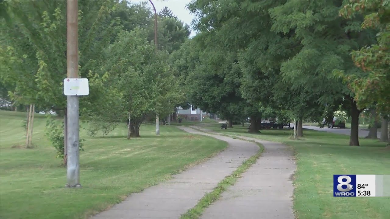 New Urban Forest Master Plan focused on community engagement and greater equity of trees across Roch