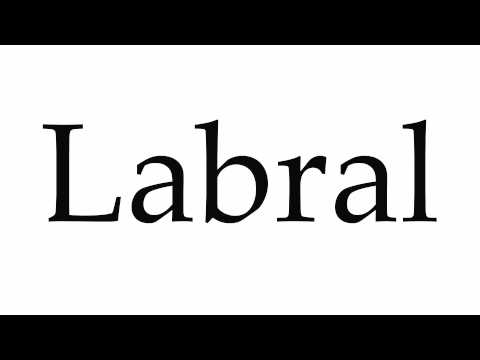 How to Pronounce Labral