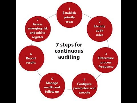 What is Audit and the Audit Process