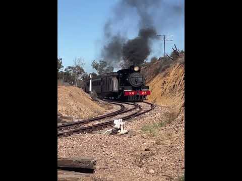 Pichi Richi Railway #australiantrains #steamengine