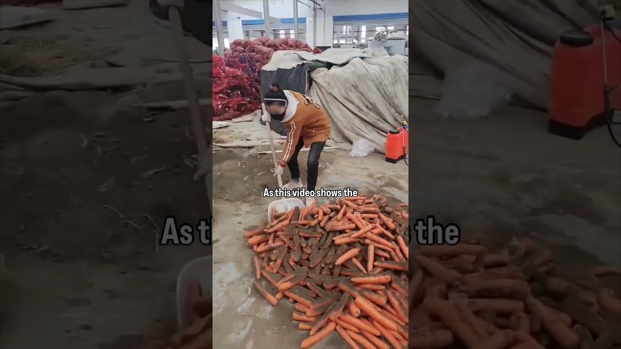 China's carrots are toxic in 2 ways