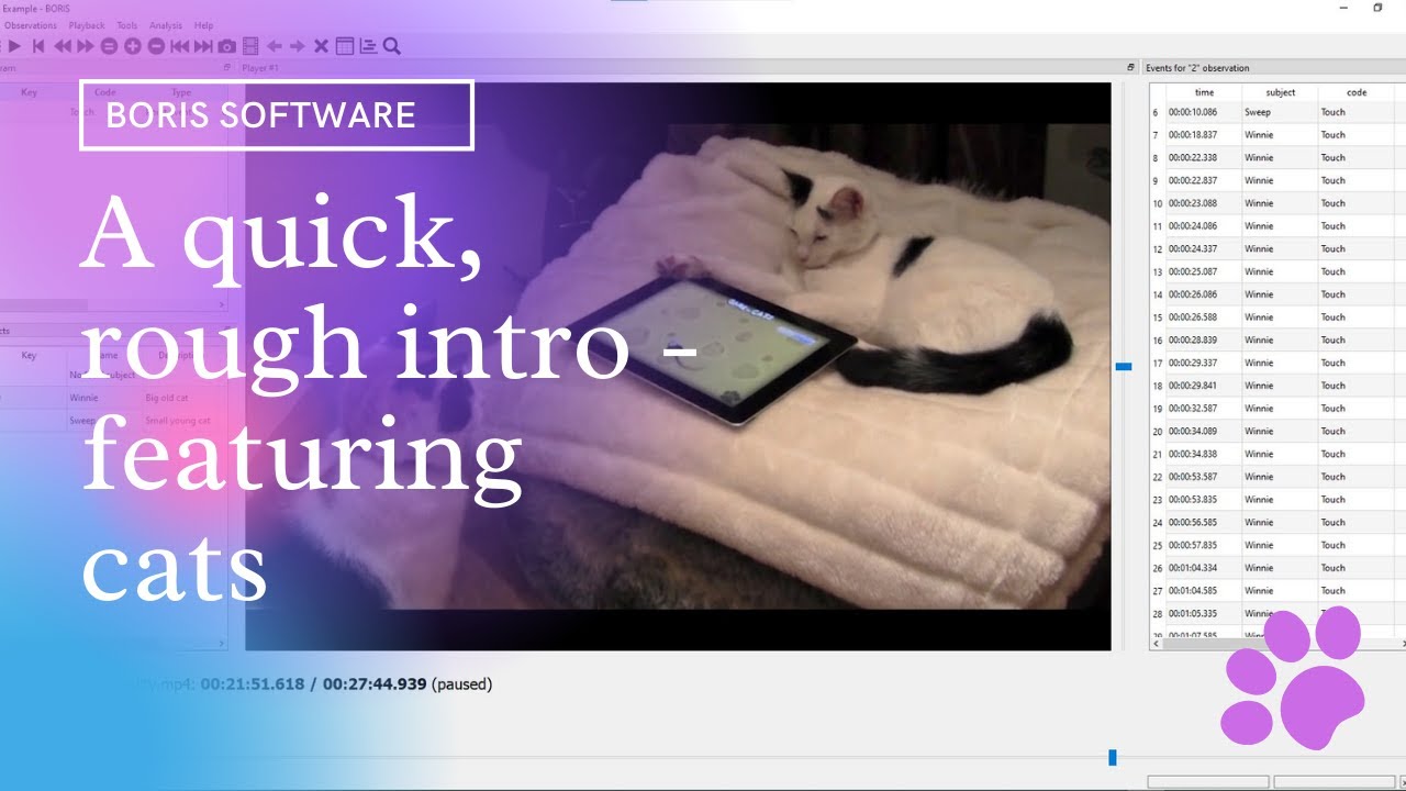 Rough and ready intro to BORIS software