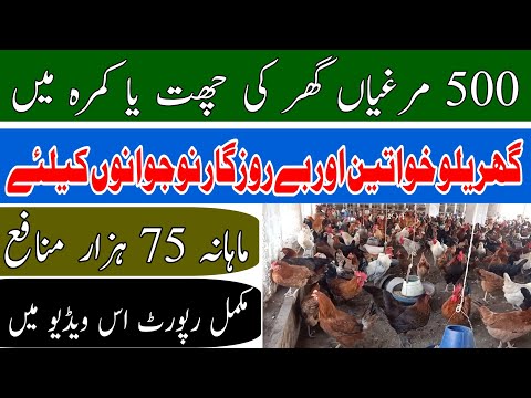 500 Desi Hen Setup and Profit of 75,000 Monthly || How to Make small Hen Setup at Home
