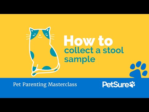How to collect a stool sample