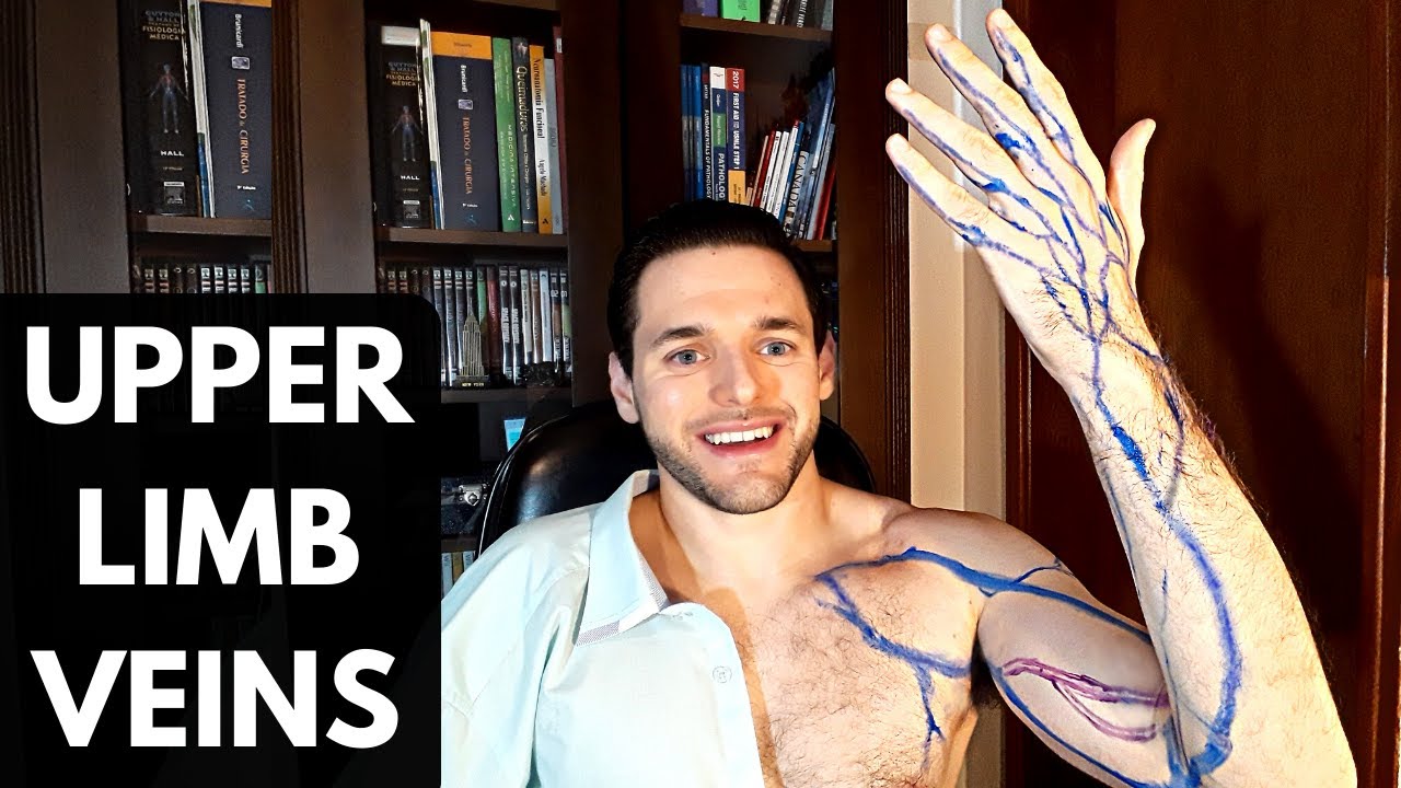 Understanding the Upper Limb Veins