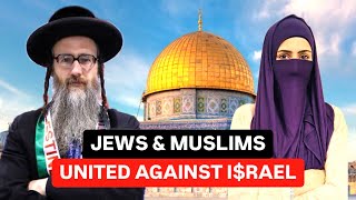 Rabbi Dovid Feldman Discusses Peaceful Coexistence, Zionism, and ...