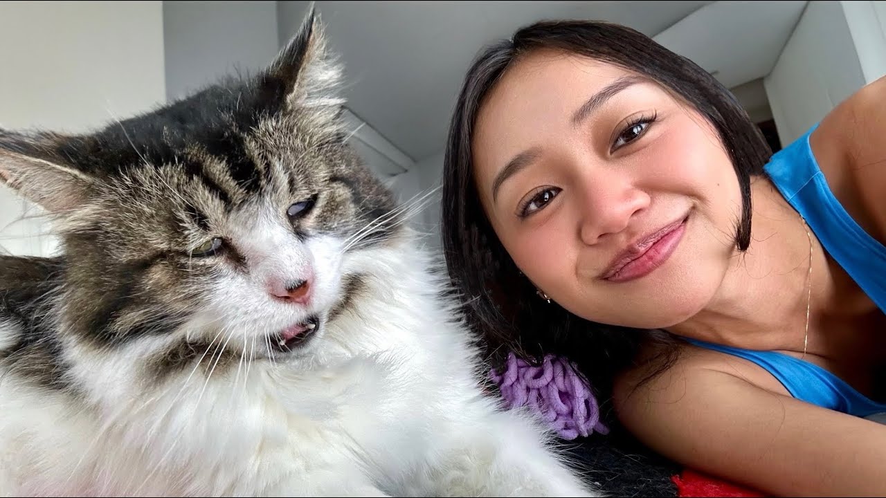 No one wanted this cat, so I adopted him.