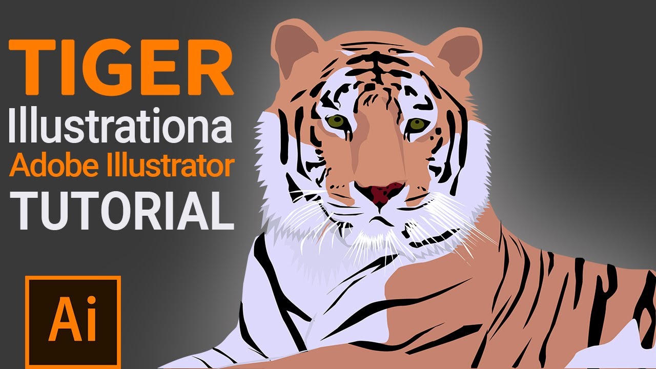 Tiger Illustration | Adobe Illustrator Tutorial| Vector art