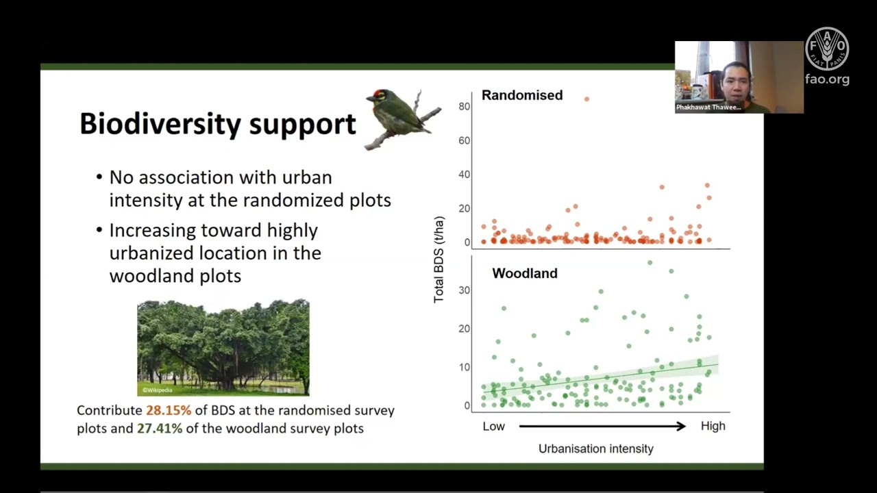 Species richness and ecosystem services of urban trees in a tropical mega-city