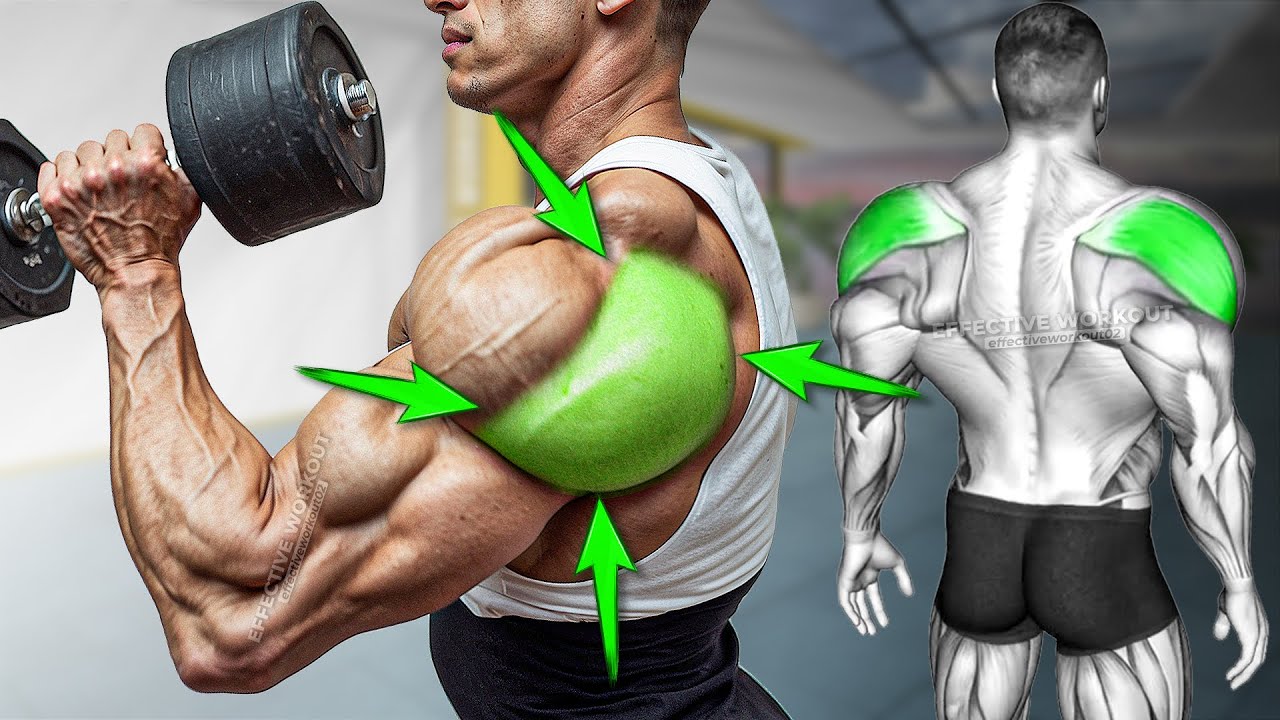 (DUMBBELL ONLY) 10 Best Rear Delt Exercise