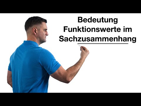 Meaning of Function Values ​​in a Factual Context | Mathe by Daniel Jung